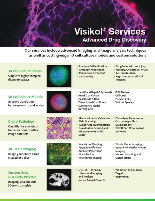 Visikol Services Catalog Download